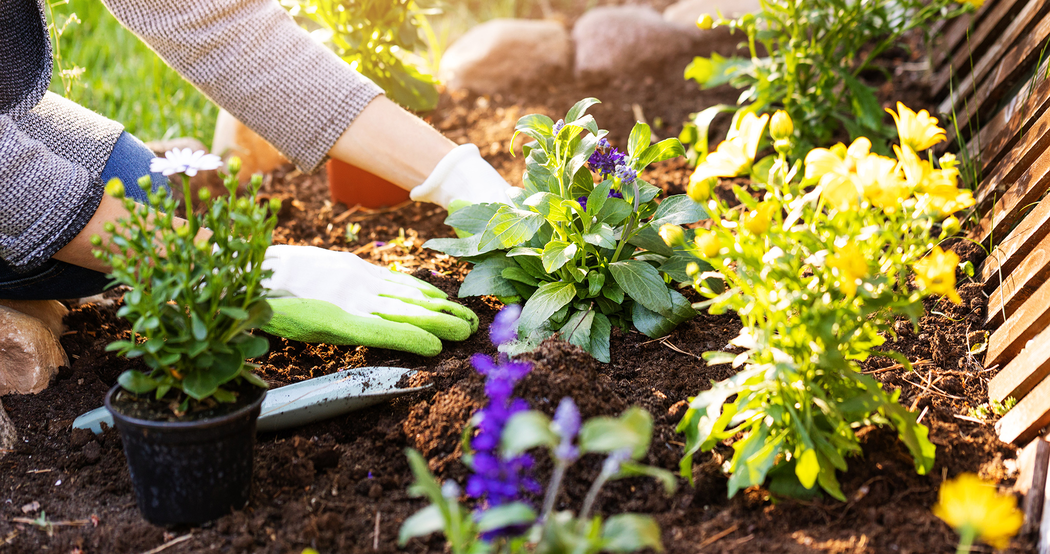 3 Need-to-Know Summer Gardening Tips - Hawaii Home + Remodeling