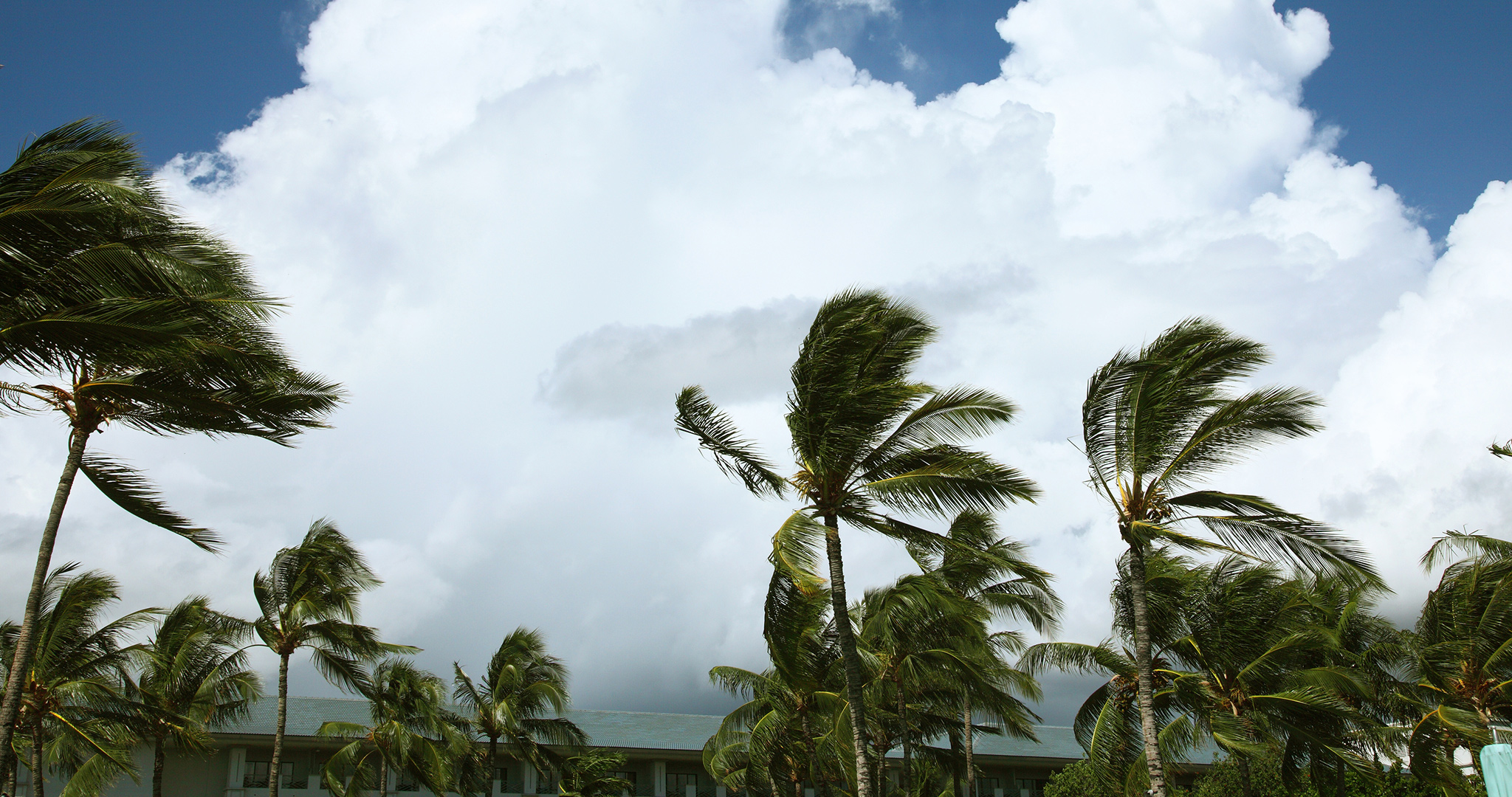 How to Prepare your Home for Hawaii's Hurricanes - Hawaii Home + Remodeling