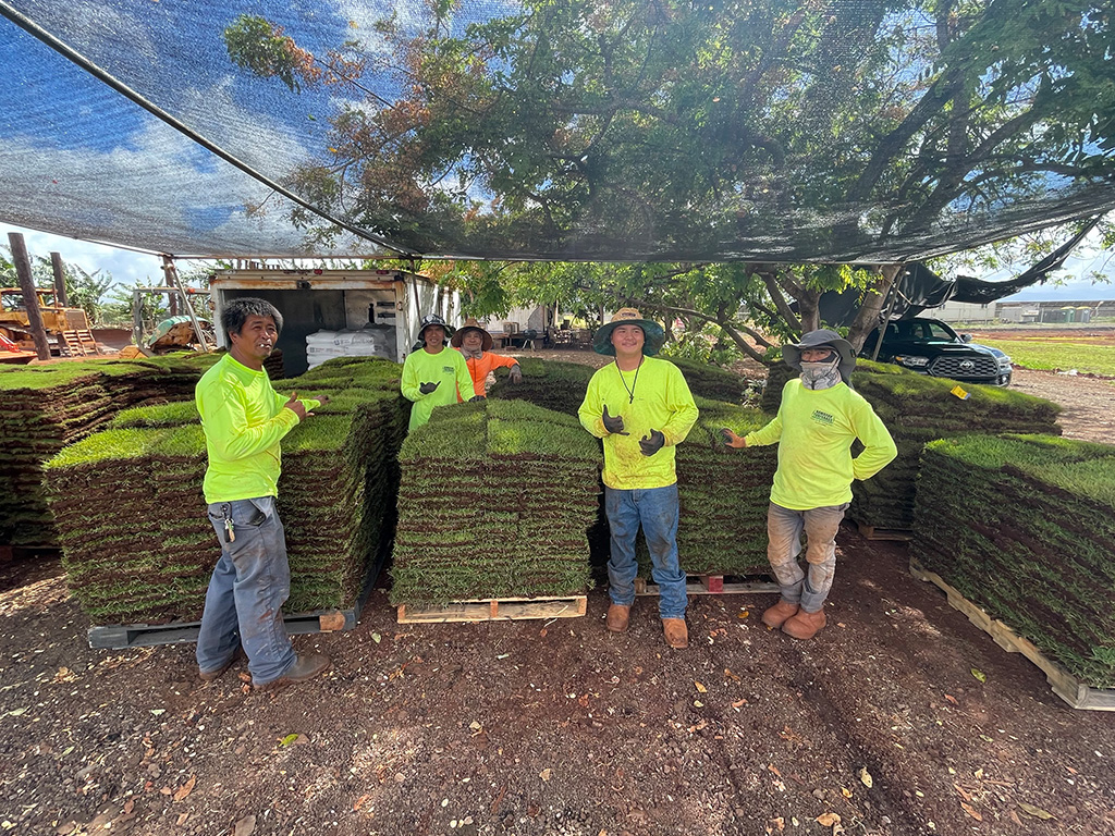 Top Three Tips to Selecting Turfgrass - Hawaii Home + Remodeling