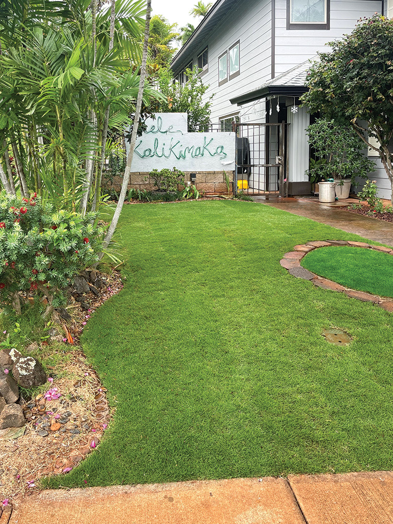Grass Varieties for Your ‘Home Field’ - Hawaii Home + Remodeling