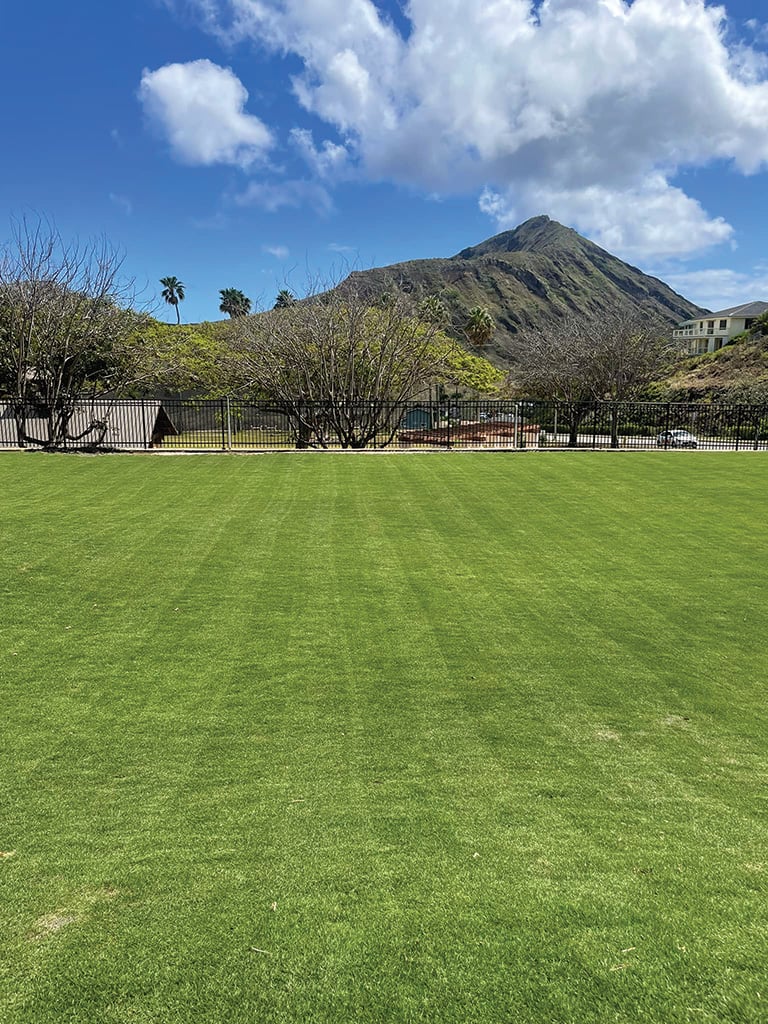Lawn Maintenance with Hawaiian Turfgrass - Hawaii Home + Remodeling