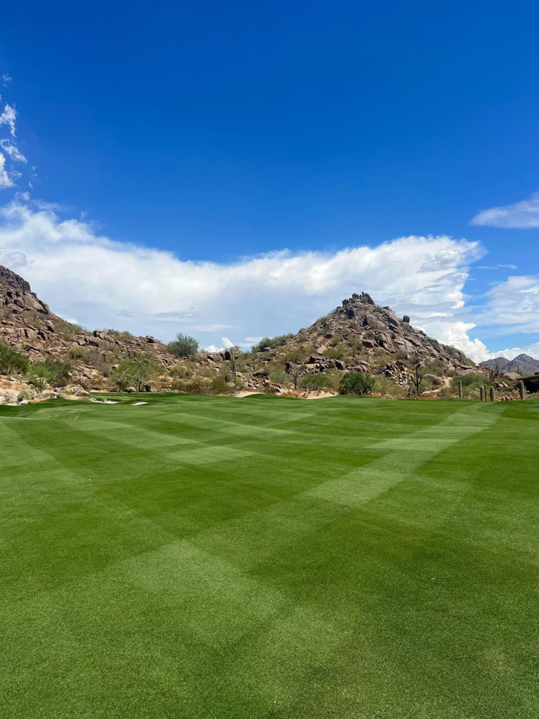 The Benefits of Laying Down Lawn - Hawaii Home + Remodeling