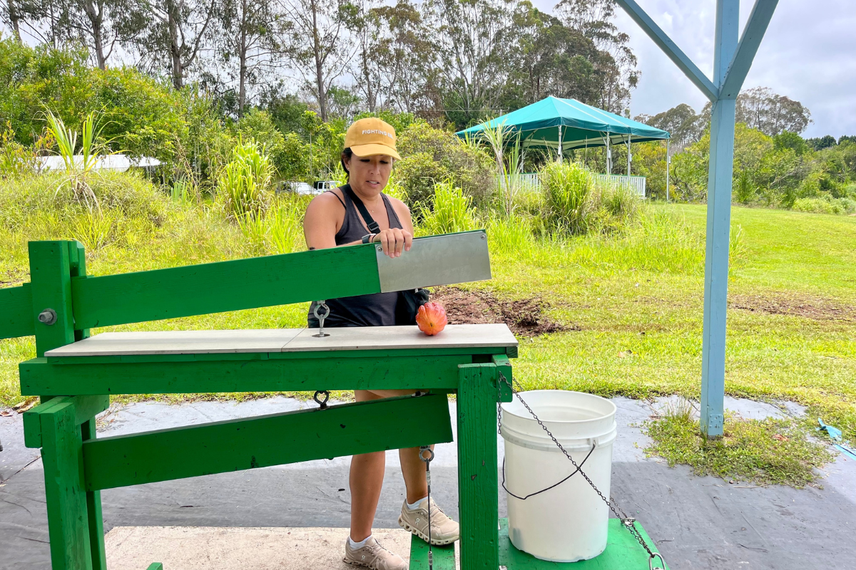 This Award-Winning Family-Run Farm Is a Sweet Stop on the Hāmākua Coast - Hawaii Magazine
