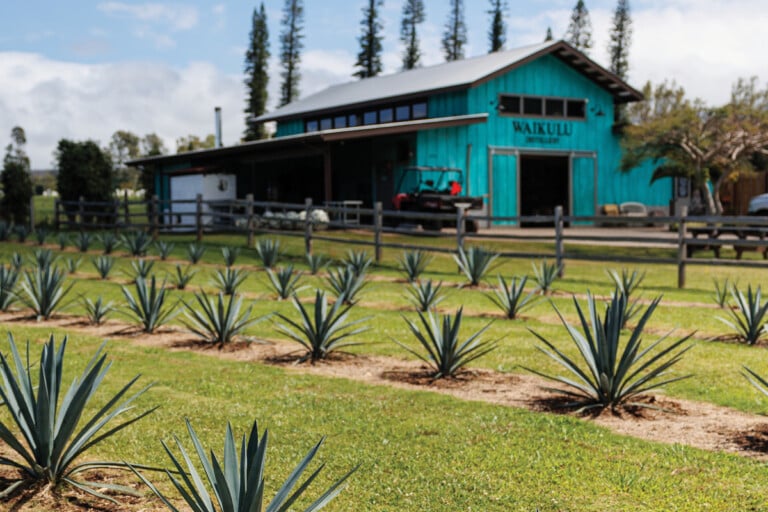Here’s Where to Experience Hawai‘i’s Only Blue Agave Distillery ...