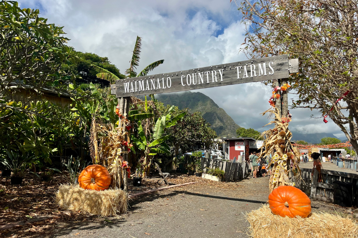 7 Reasons You’ll Fall for Hawai‘i in the Fall - Hawaii Magazine