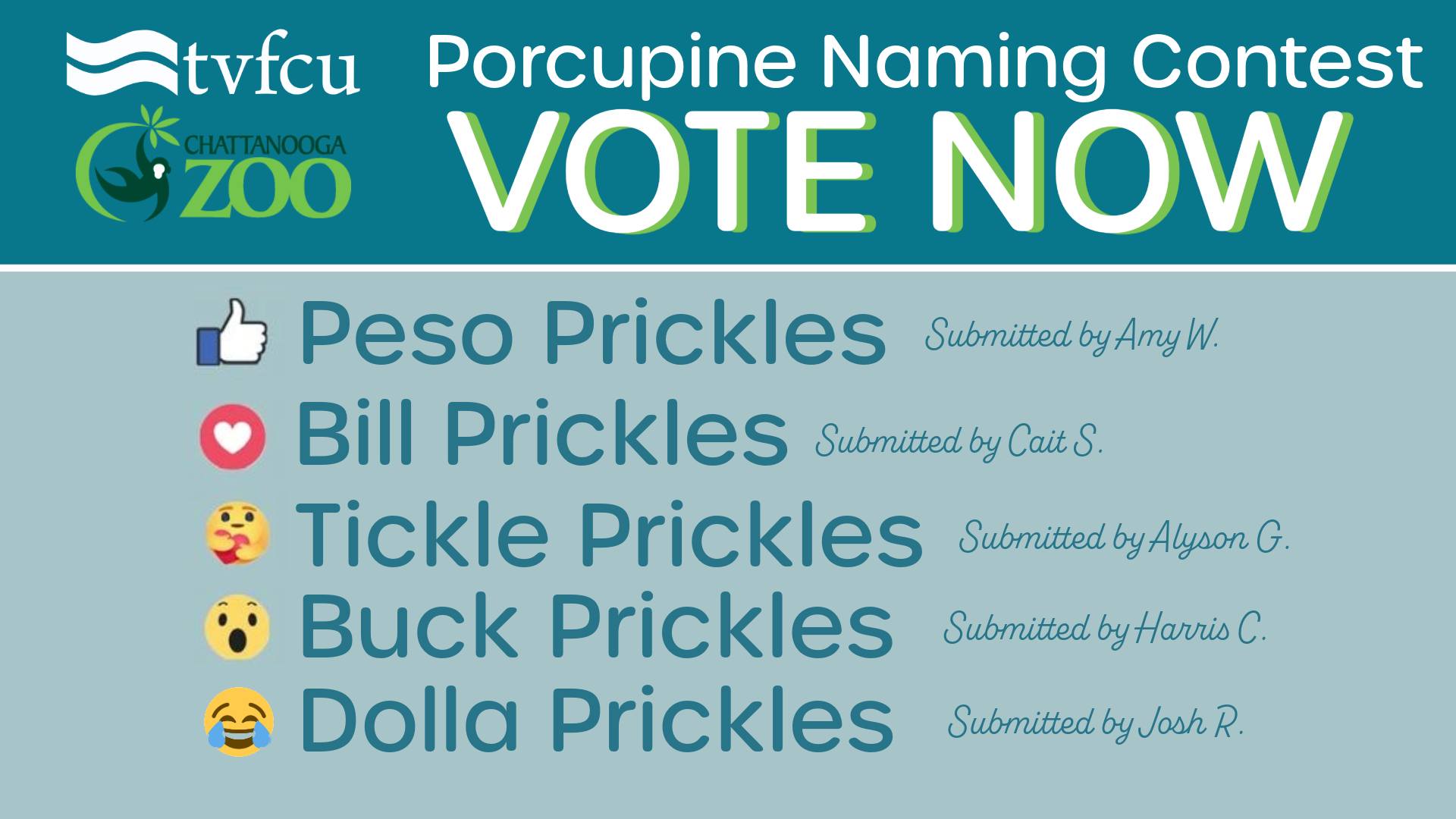 TVFCU and Chattanooga Zoo Announce Finalists for Naming Contest for New ...