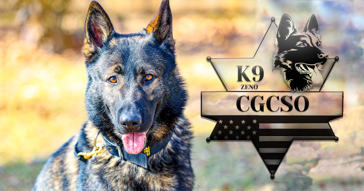 Cape Girardeau County Sheriff's Office adds K-9 officer - KBSI FOX23 News Cape Girardeau News ...