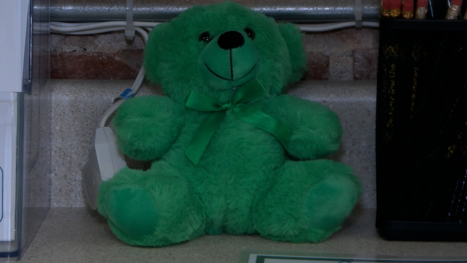 green-bear-project-launches-new-high-school-program-kbsi-fox-23-cape
