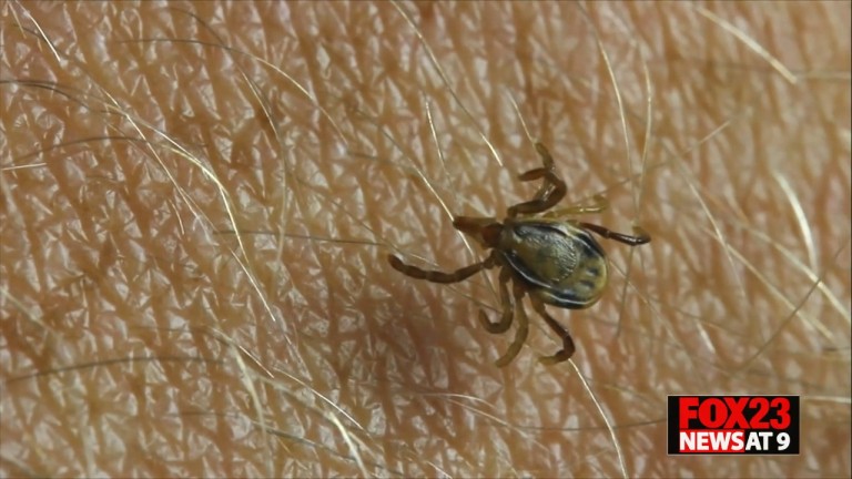 Tips to avoid tick bites during Lyme Disease Awareness Month - KBSI ...
