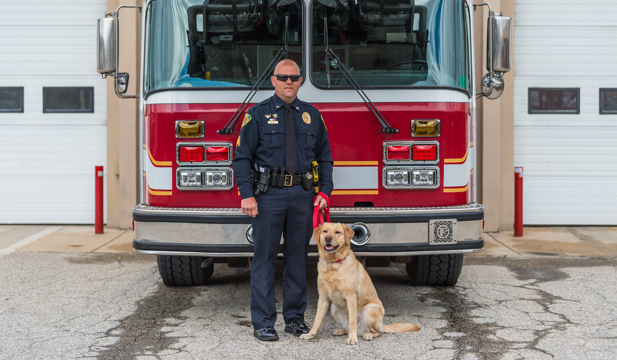 Sikeston DPS gets accelerant detection K-9 - KBSI FOX23 News Cape ...