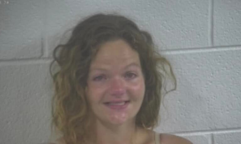 Benton, KY woman facing drug, other charges after traffic stop Calloway ...