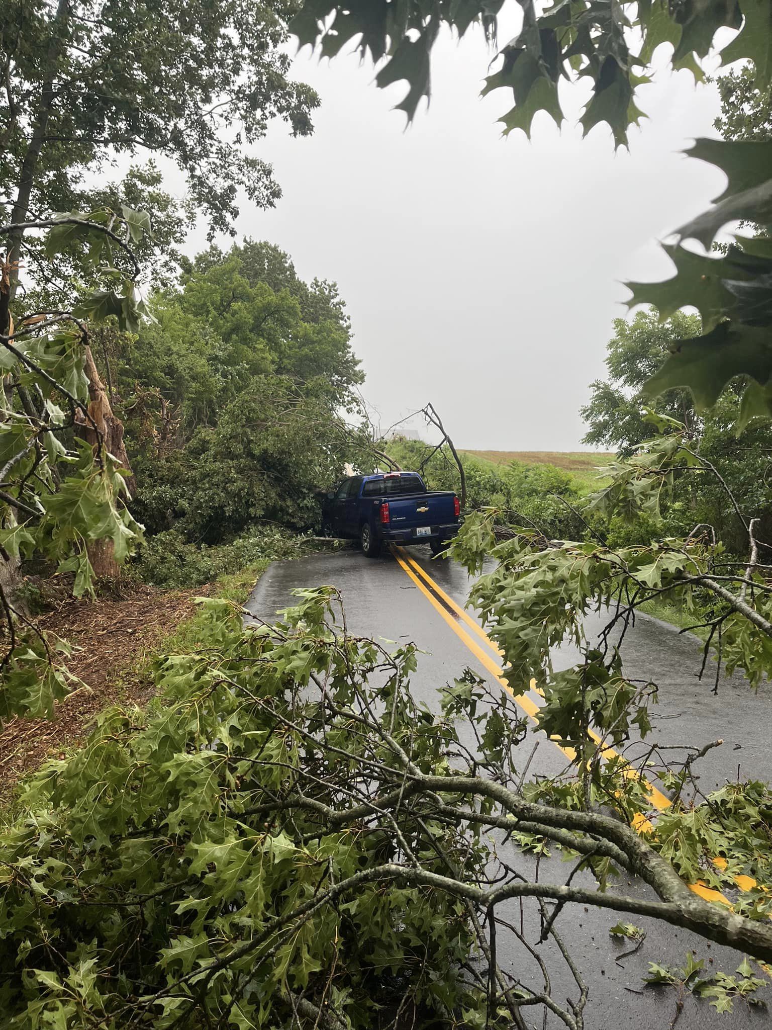 Severe weather leaves behind damage in western Kentucky - KBSI FOX23 News Cape Girardeau News ...