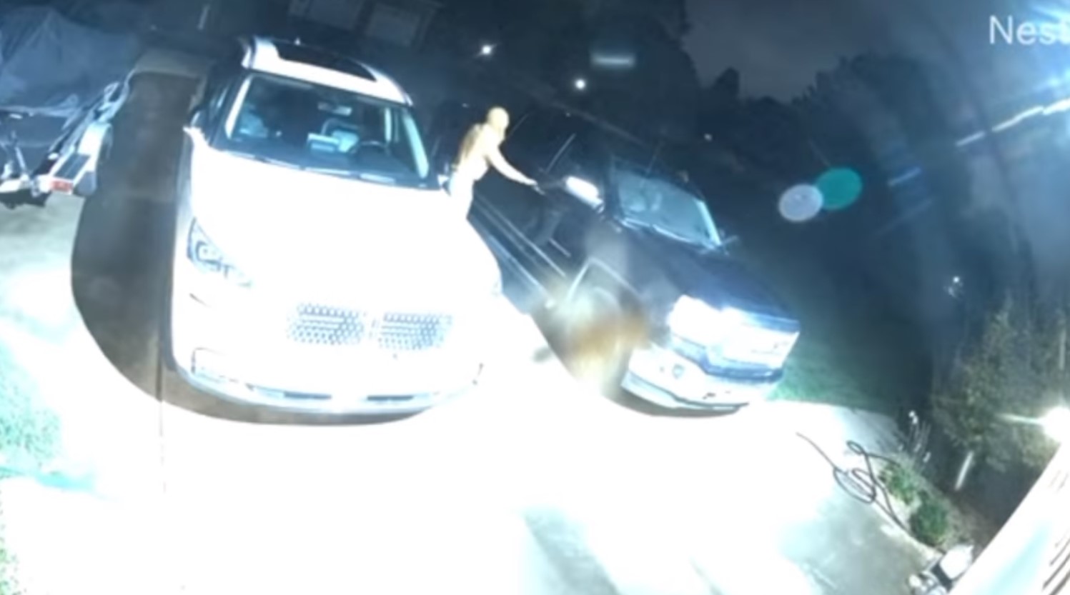 Calloway County Sheriff's Office investigating multiple reports of thefts from vehicles - KBSI ...