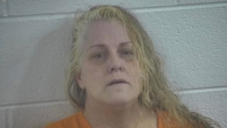 Murray woman accused of damaging TV, locking herself in shed - KBSI ...