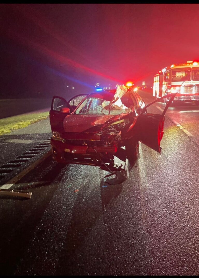 Man injured, horse dies after vehicle crashes into runaway horse in ...