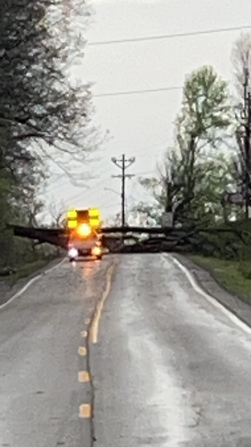 Large tree fallen over in Benton on Route 77: Structure collapse with 3 ...