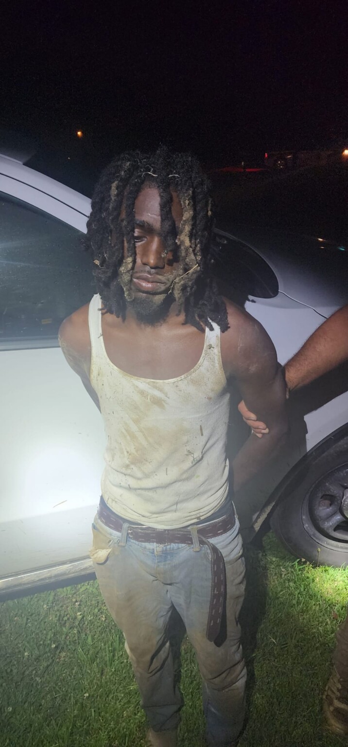 Man arrested after police chase of more than 100 miles per hour, search through cornfield - KBSI ...