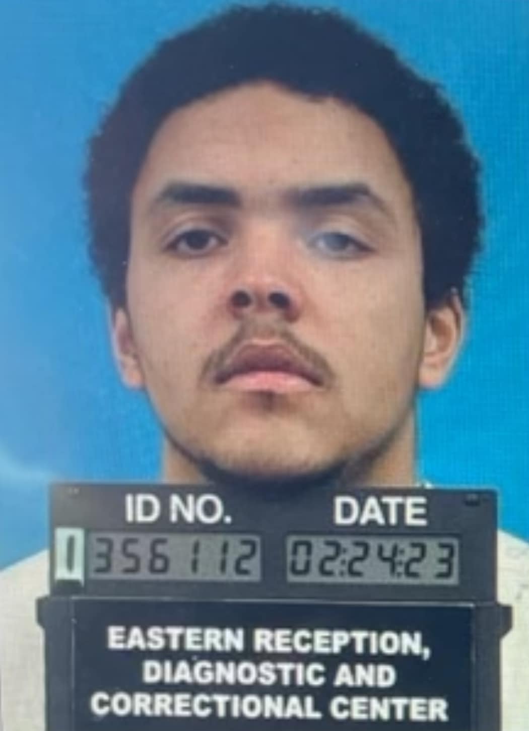 Suspect involved in a double shooting incident in Wayne County has been arrested - KBSI FOX23 ...