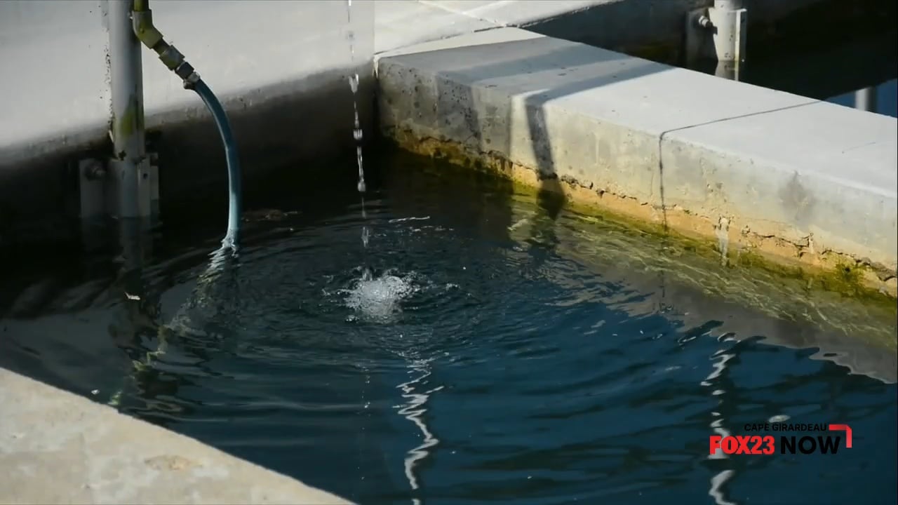 Mayors discuss flooding, stormwater concerns along Mississippi River ...