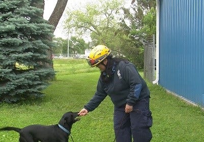 Lincoln hosts FEMA Urban Search and Rescue Canine Certification