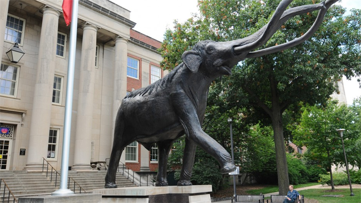 Morrill Hall to open new exhibit