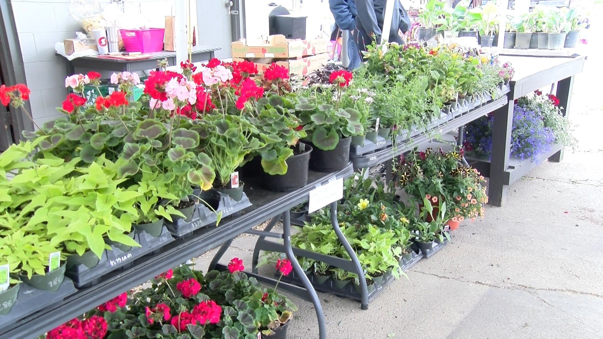 Kelly's Produce Spring Craft Lincoln's farmers market