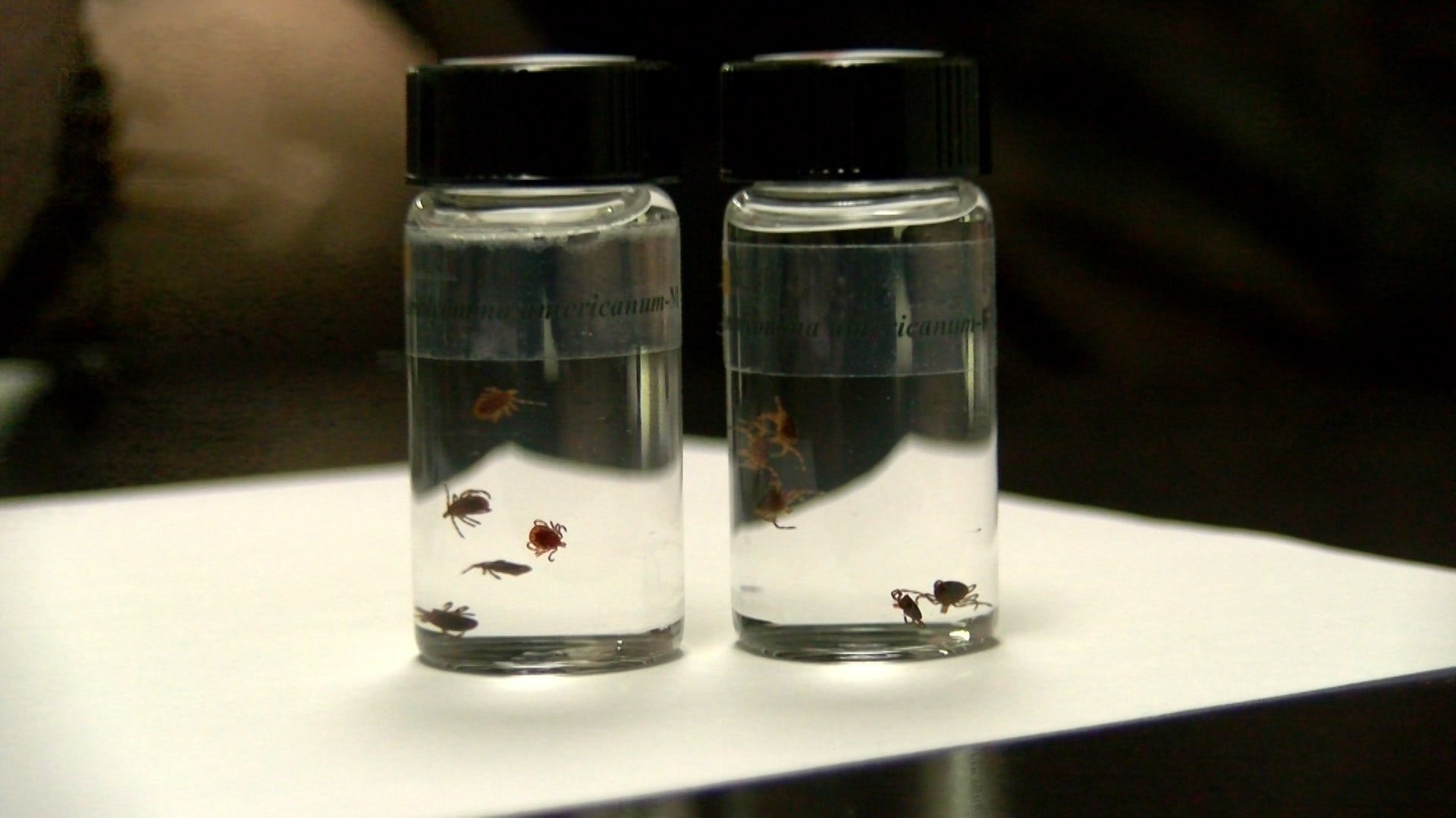 Lyme disease-carrying ticks spotted in eastern Nebraska
