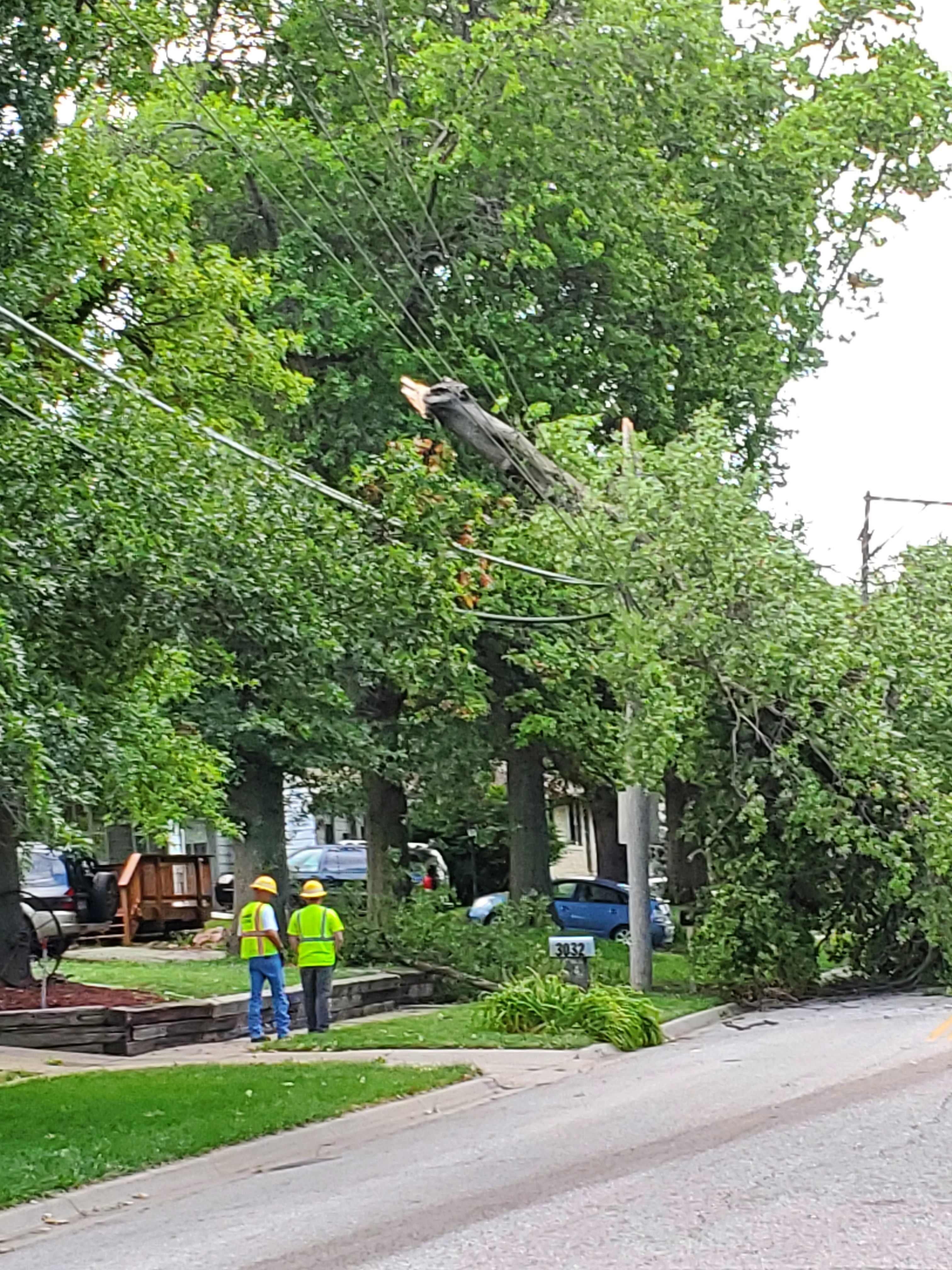Trees down across Lincoln, many causing outages