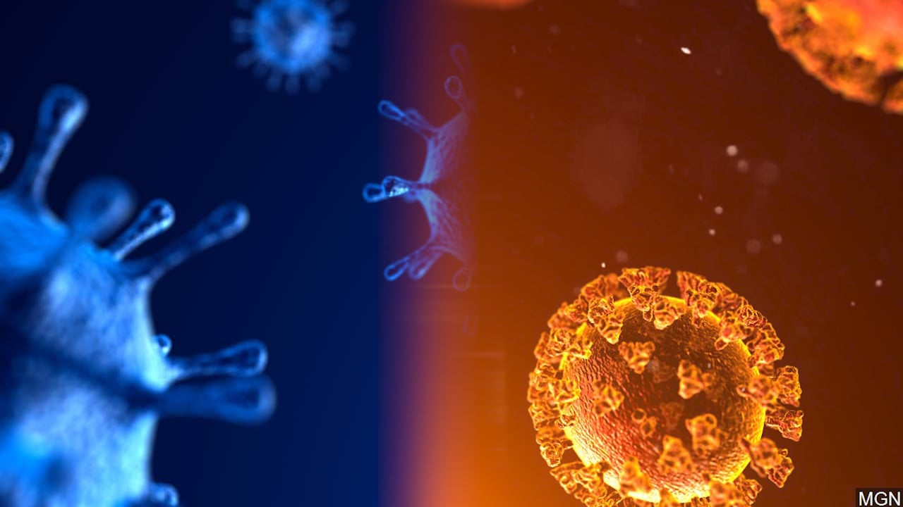 Quad-demic: Nebraska has one of highest flu rates as four viruses sweep ...