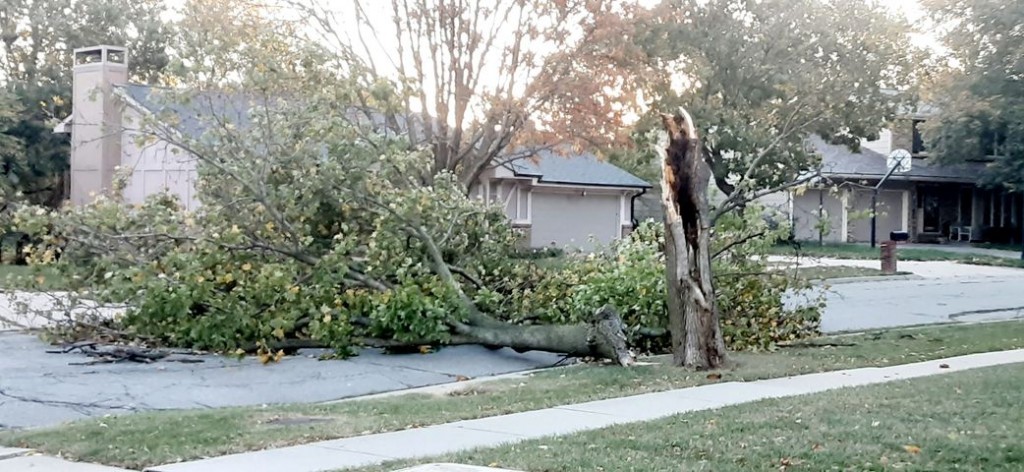 Wild wind and severe thunderstorms leave a line of destruction behind