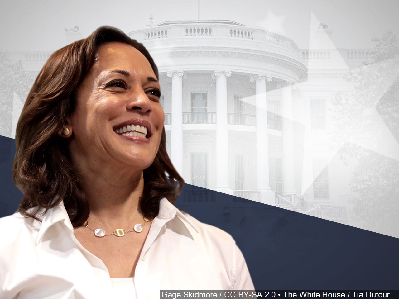 Vice President Harris aims to 'earn and win' Democratic presidential nod