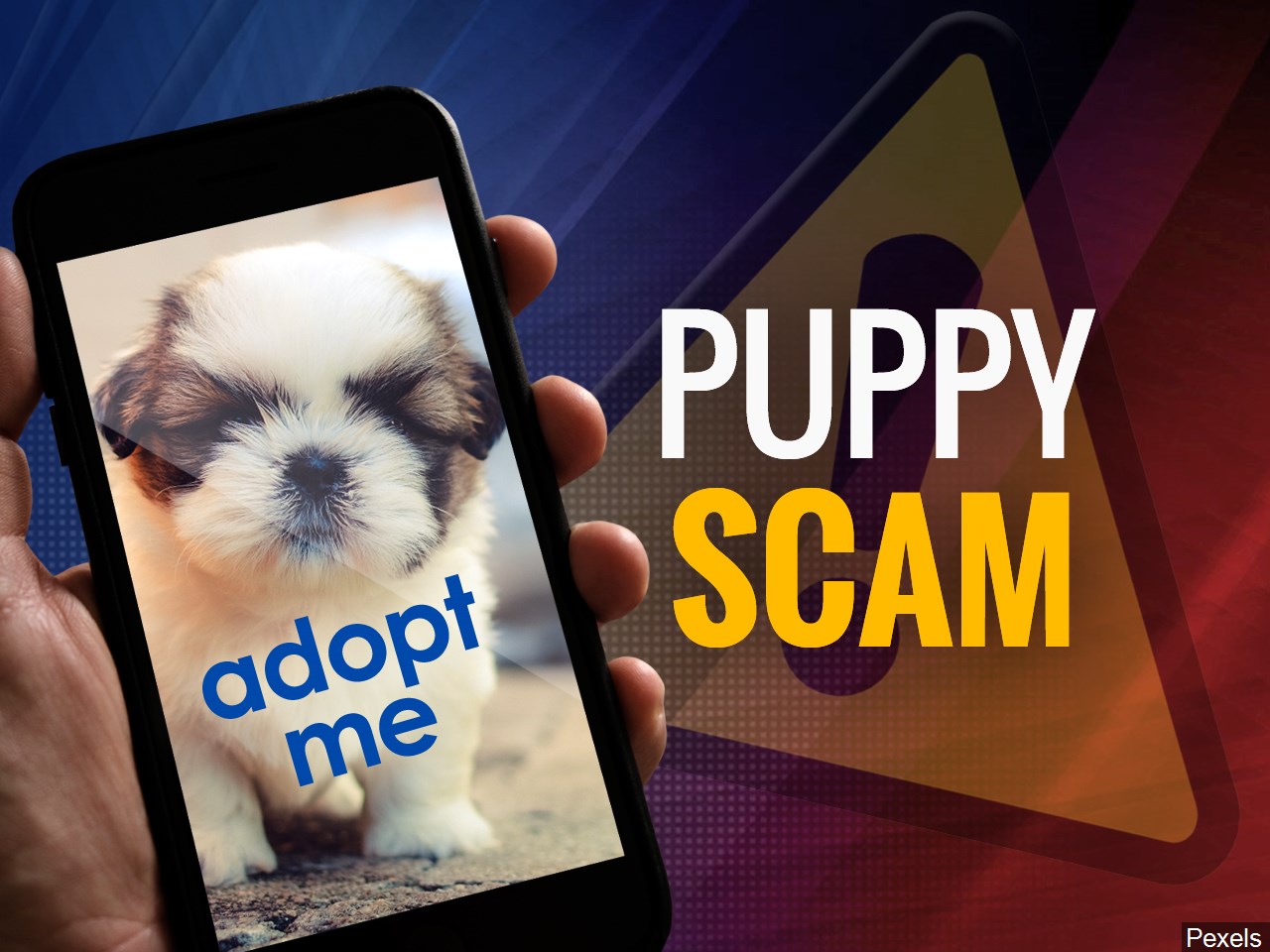 SCAM ALERT: Suspects using Nebraska addresses in pet scams
