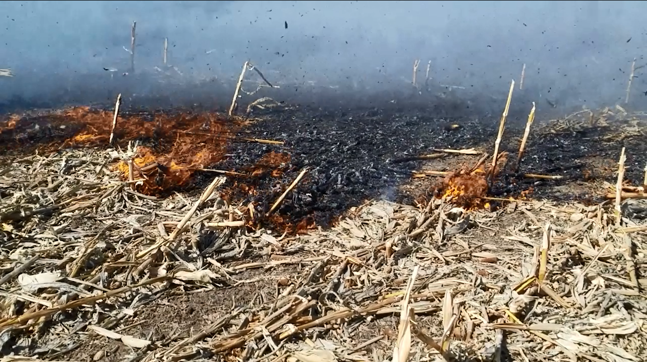 Windy Wednesday causes multiple grass fires