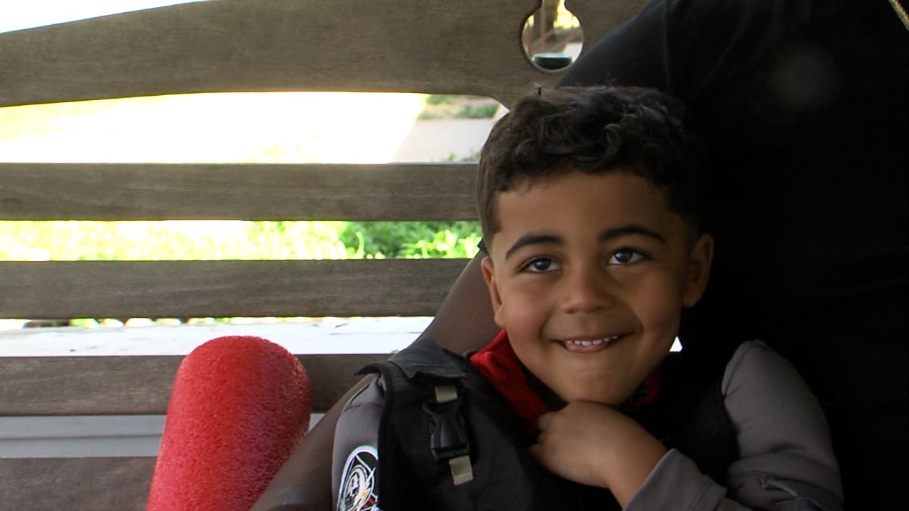 The Story of 'Little Josh:' A 4-year-old internet sensation and a true ...