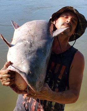 MUST SEE: Man catches 77 pound catfish
