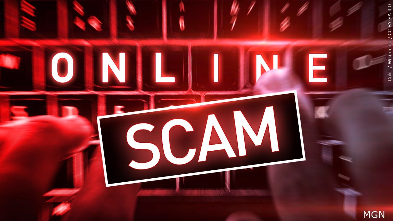 Popular online game sparks scams with bogus apps flooding stores