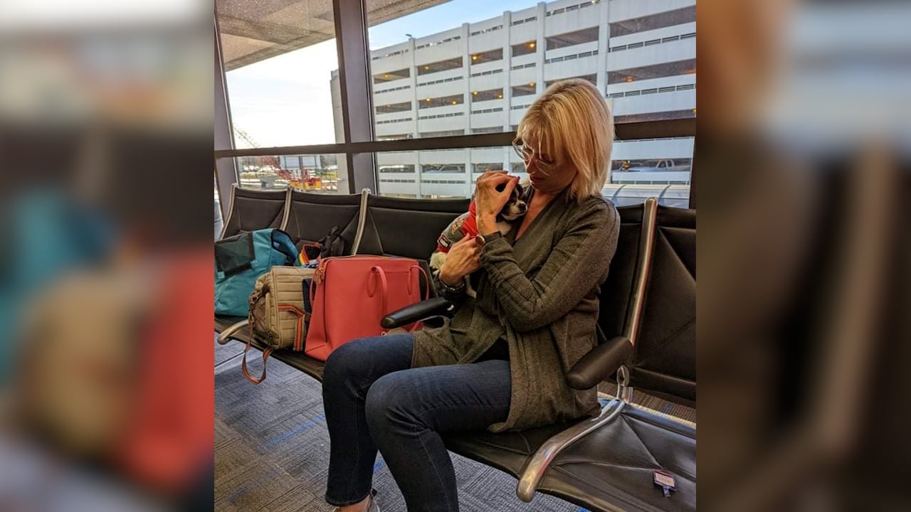 Florida family makes cross country trip to adopt Nebraska rescue dog Florida family makes cross country trip to adopt Nebraska rescue dog