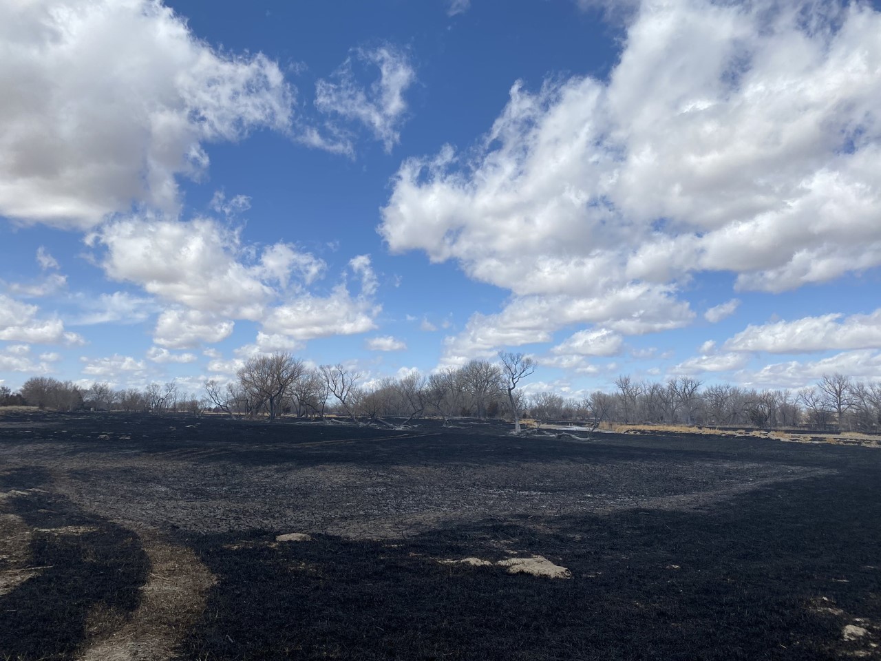 Nearly 200 acres torched in latest Nebraska wildfire