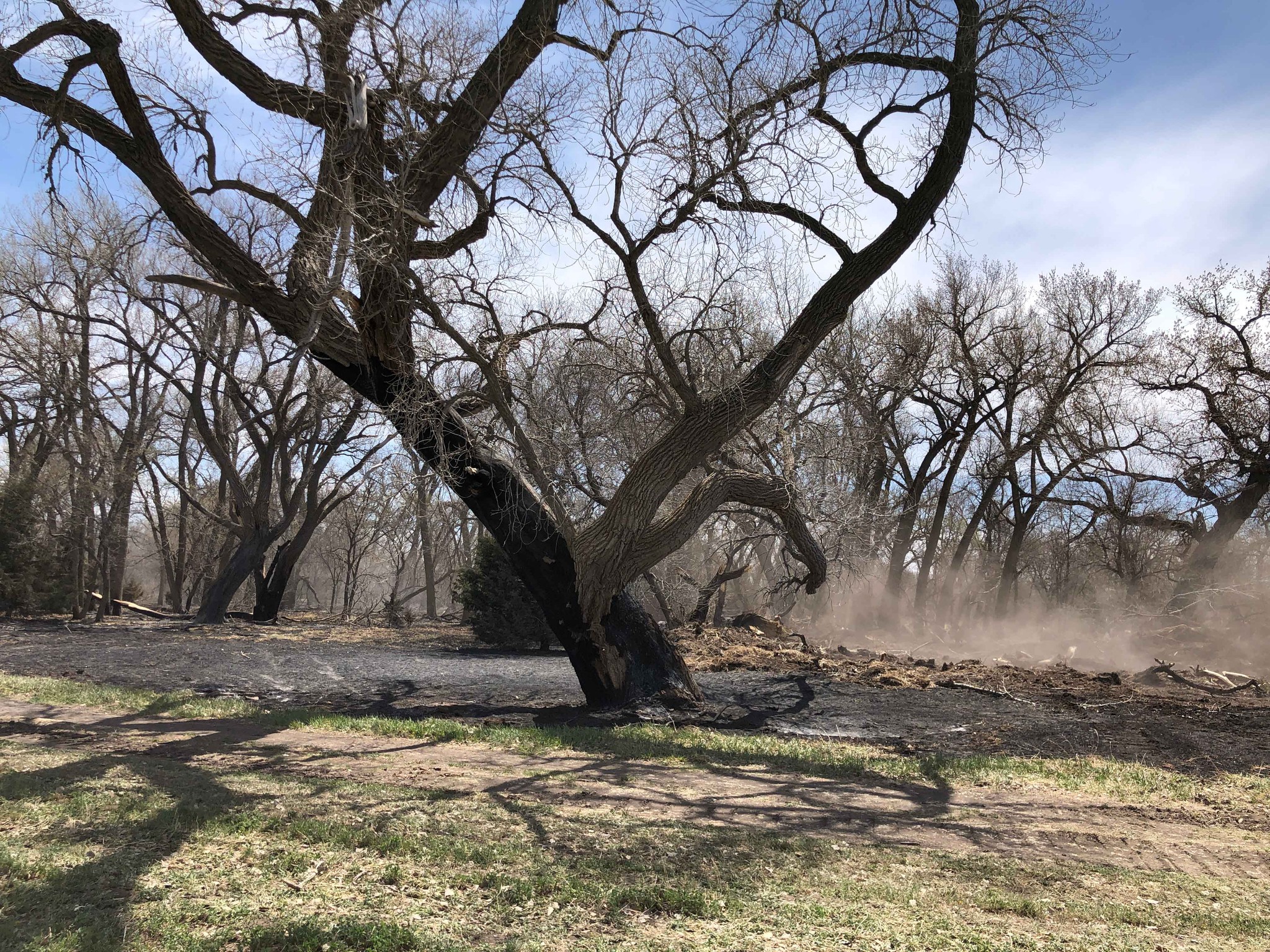 NEMA says Road 702 Fire is now 47% contained