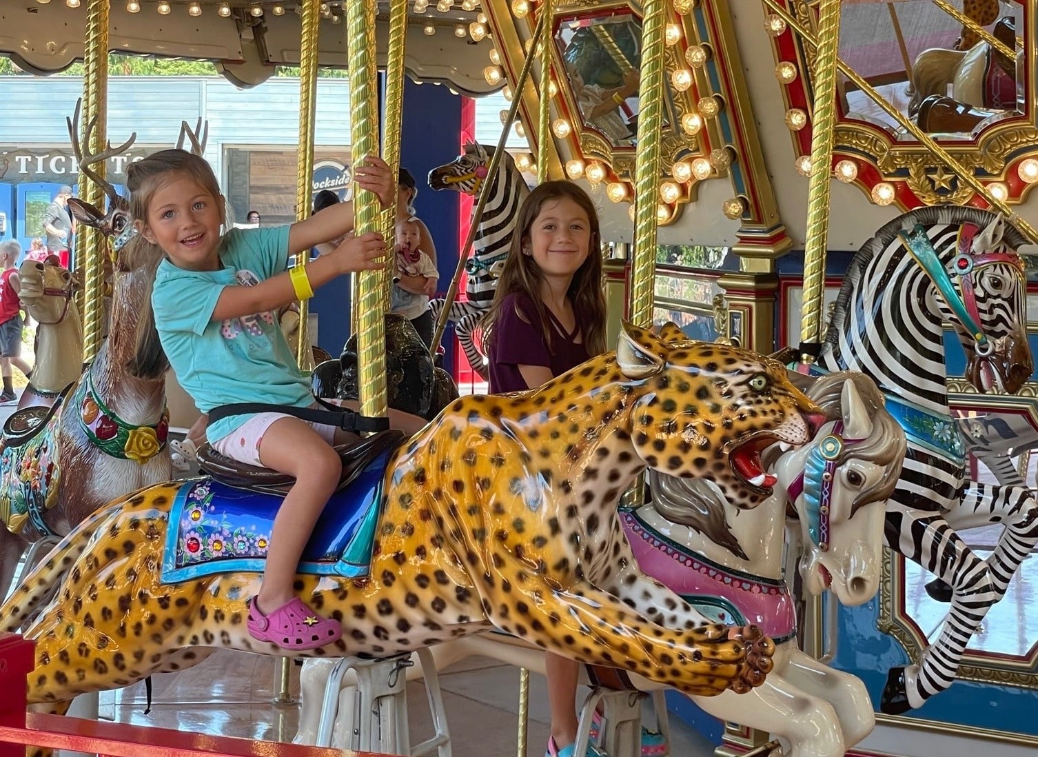 Girl receives unexpected birthday present as Omaha zoo's 1 millionth ...