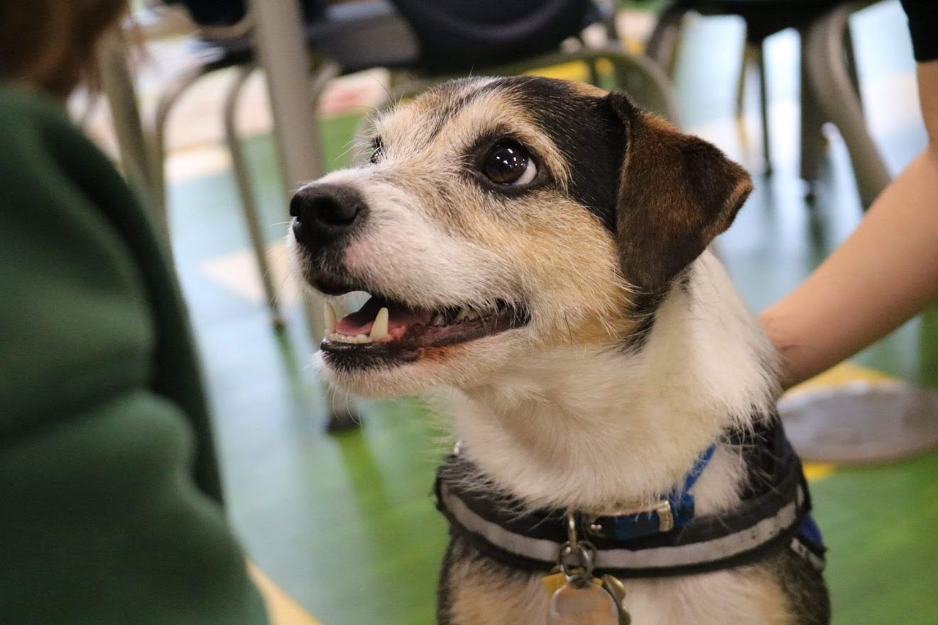 Omaha zoo announces the retirement of Watson, its animal ambassador