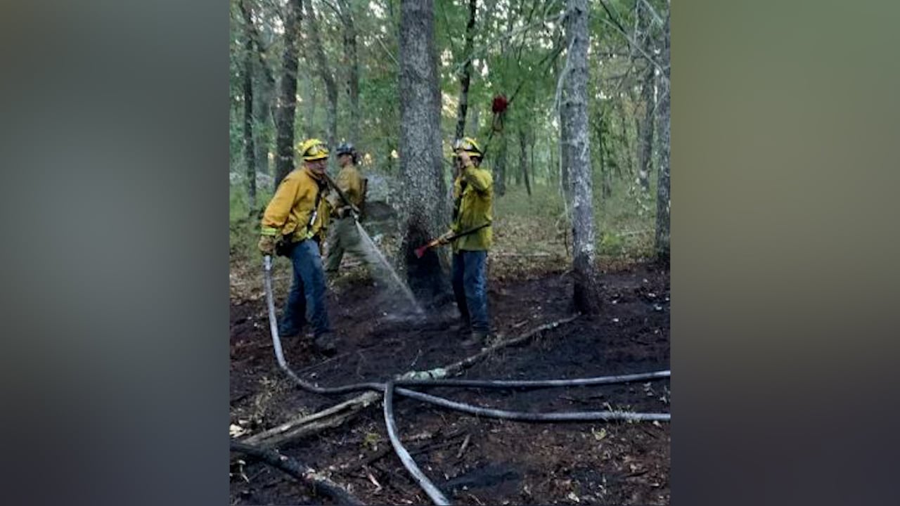 DEM announces training program for fighting wildfires