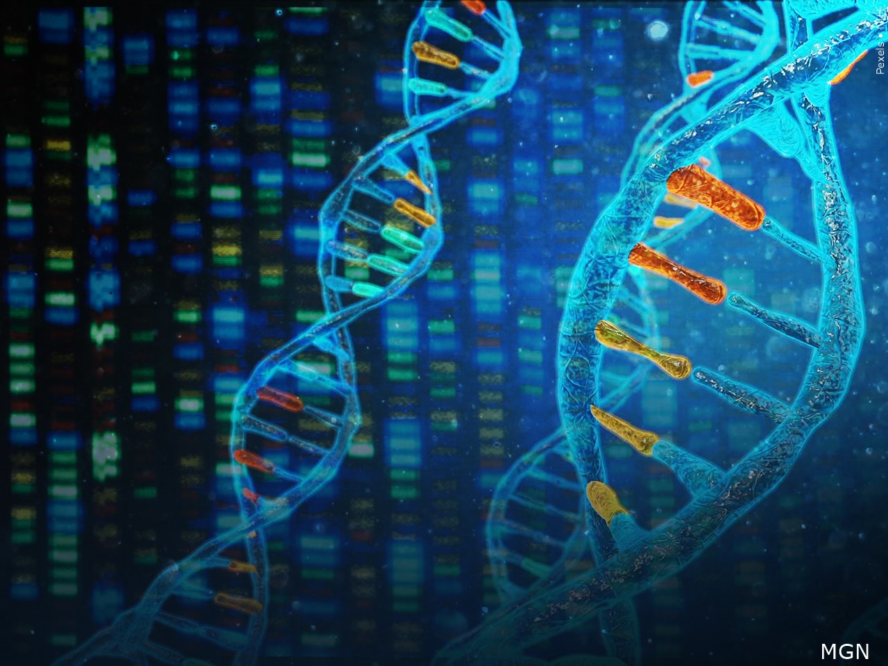 Genetic information could soon be protected from Nebraska police, employers