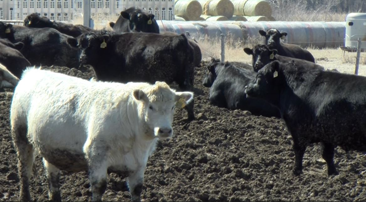 Nebraska rancher says he's recovered after historic flooding four years ago