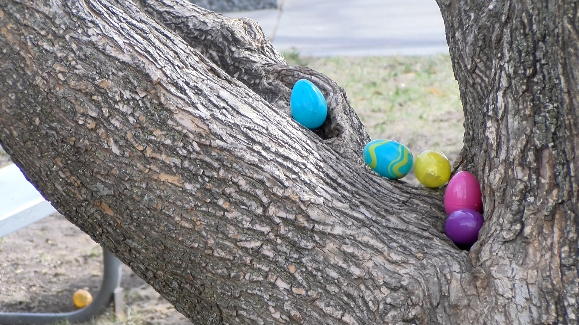 Easter egg hunt at Unitarian Church of Lincoln