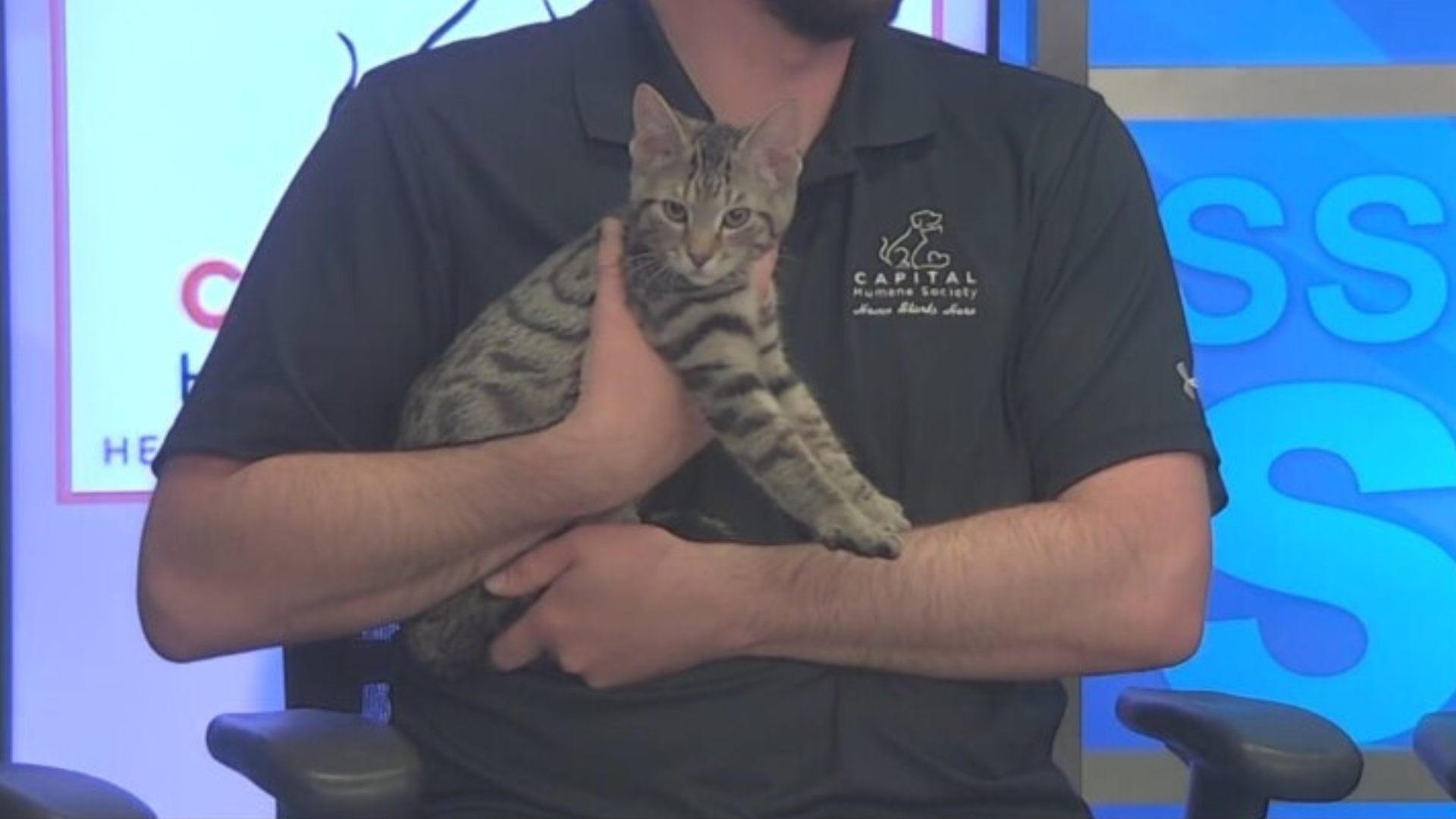 Meet Lyle, available for adoption now at Capital Humane Society
