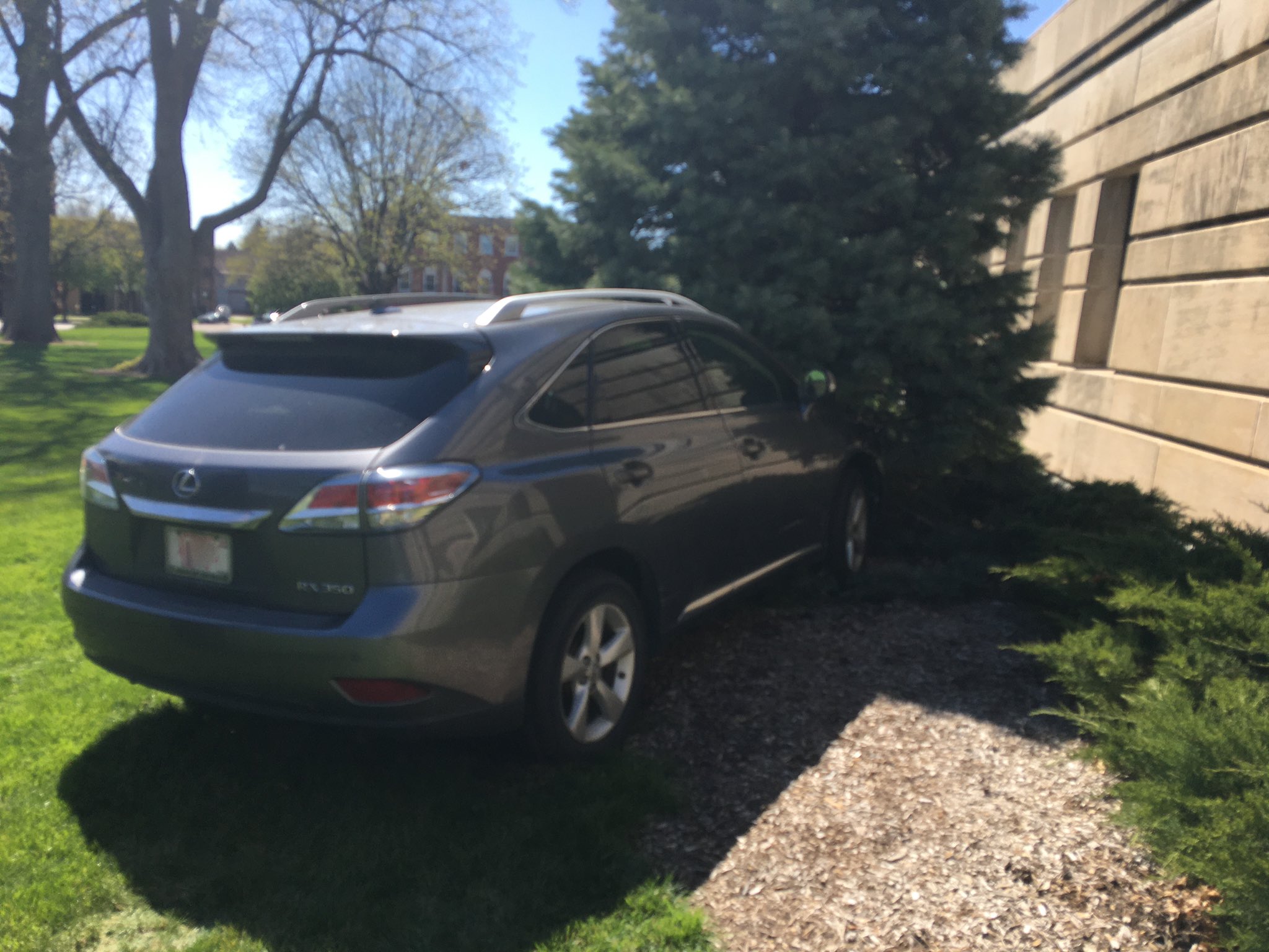 Vehicle crashes into tree just feet from Nebraska State Capitol