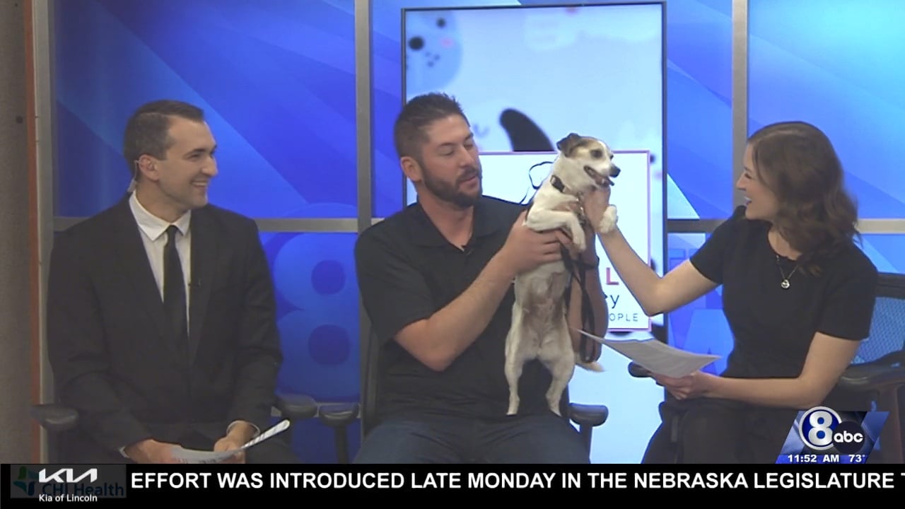 Midday Interview: Capital Humane Society (Suzie)