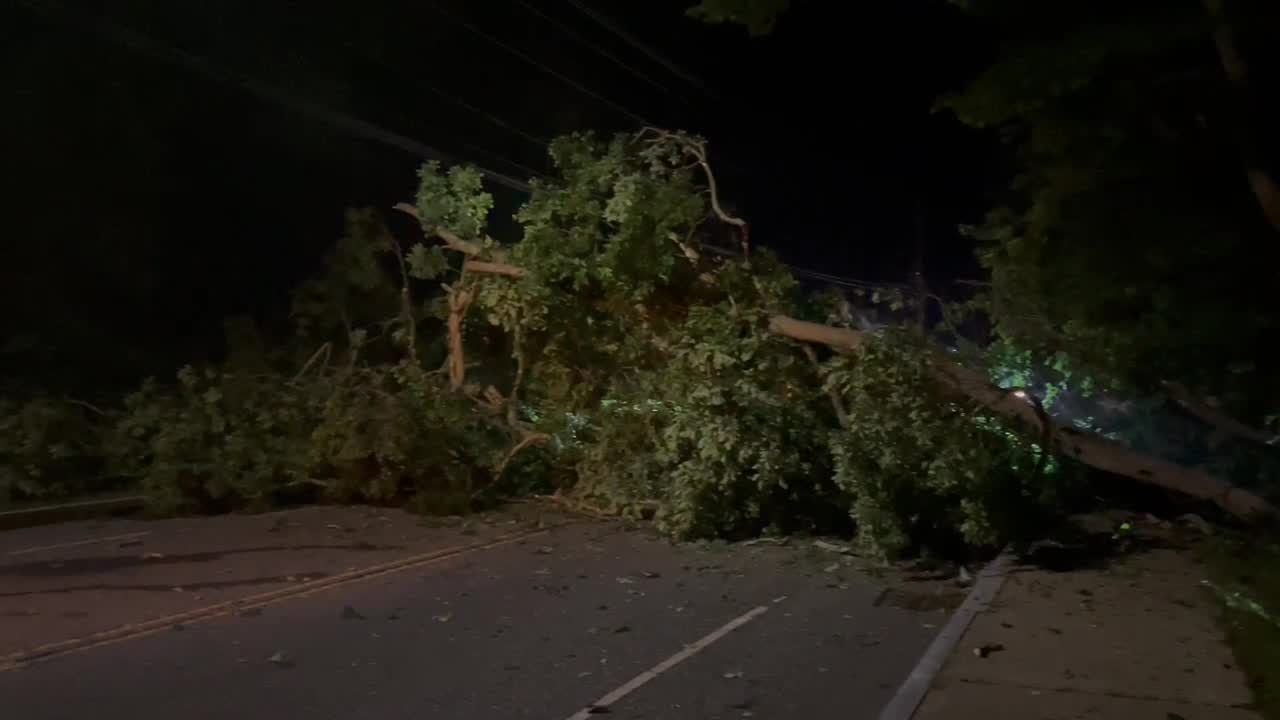 Fall River street reopens after tree falls