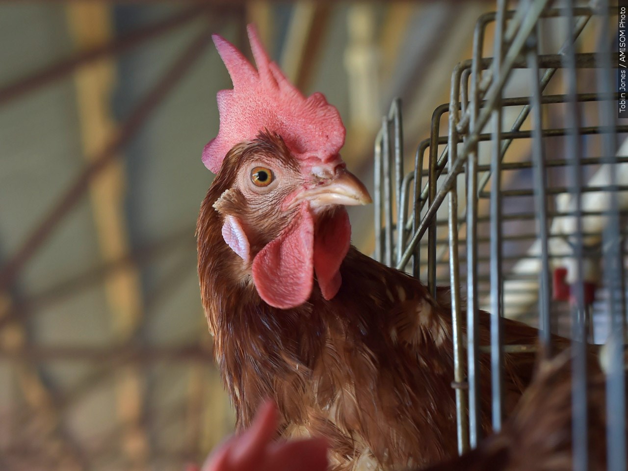 Nebraska sheriff's office 'applauds' woman who pulled gun on strangers ...